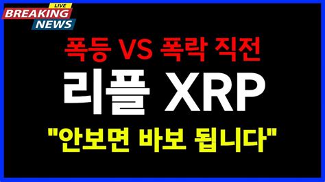리플 Xrp 폭등 Vs 폭락 직전 안보면 바보 됩니다 Youtube
