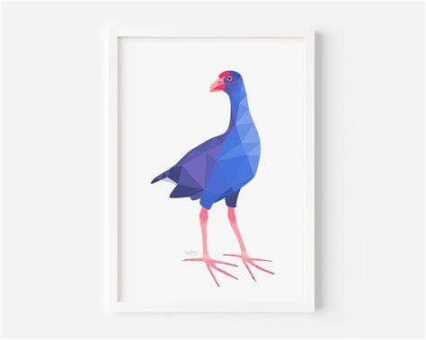 Pukeko Print Pukeko Art Pukeko Illustration New Zealand Etsy New Zealand