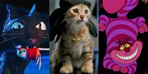 My Hero Academia S Mirko Hops Into Reality In Sensational Cosplay TrendRadars