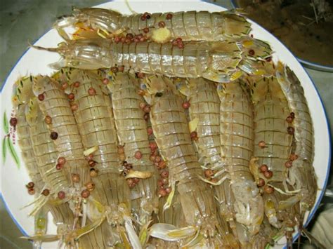 皮皮虾的做法【图解】皮皮虾怎么做如何做好吃皮皮虾家常做法大全阿兰贝尔6豆果美食