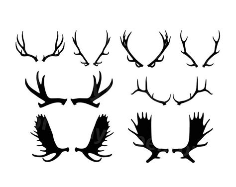 Moose Antlers Vector At Collection Of Moose Antlers