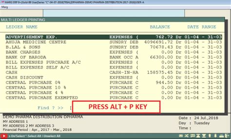 How To View Report Of All Ledgers Balances Along With Zero Balances Ledger