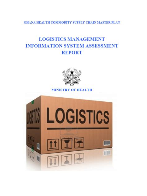 Lmis Assessment Report Pdf