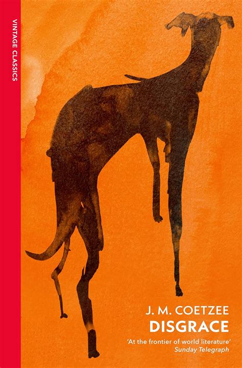 Disgrace J M Coetzee