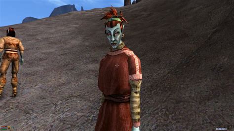 The Most Essential Mods For Morrowind Rock Paper Shotgun