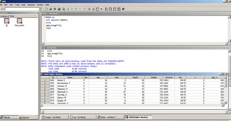 Creating Variables Columns In SAS Dataset