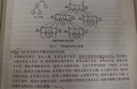 【考研数据结构代码题6】二叉树的遍历（递归与非递归实现）先序遍历递归算法代码 Csdn博客