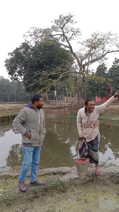 মফিজ কালা