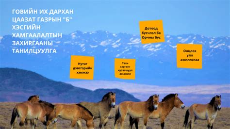 Говийн Их Дархан Цаазат газрын Б хэсгийн хамгаалалтын захиргаа By H Huk On Prezi