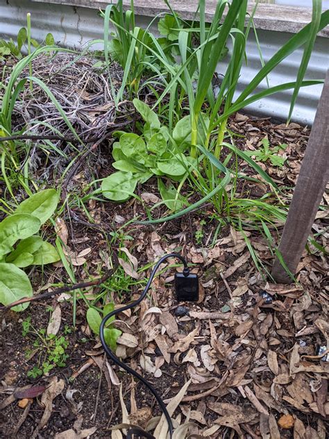 Innovate Iot Innovation Industries