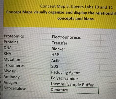 Solved Concept Map 5 Covers Labs 10 And 11 Concept Maps Chegg Com