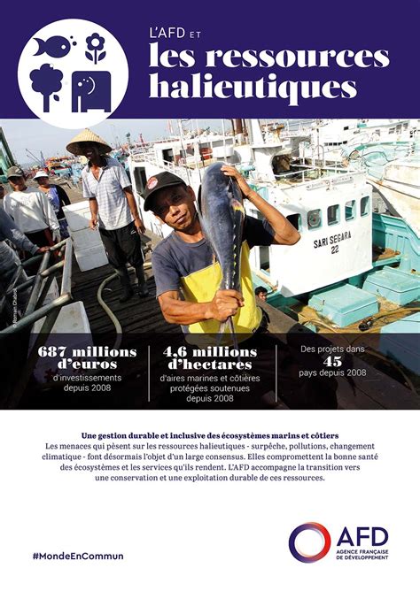 Lafd Et Les Ressources Halieutiques Afd Agence Française De