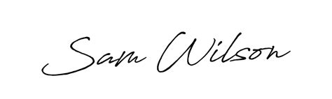 76 Sam Wilson Name Signature Style Ideas Amazing Name Signature