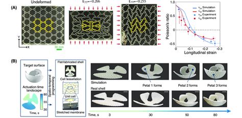 A Hierarchical Honeycomb And Exhibited Npr Ranges Reproduced With Download Scientific