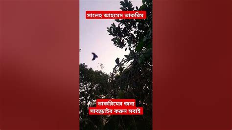 বিশ্বজয়ী হাফেজ সালেহ আহমেদ তাকরিম Youtube