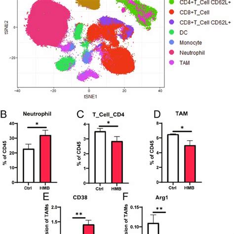 A Tsne Visualization Of Tumor Immune Cells Following Clustering Via