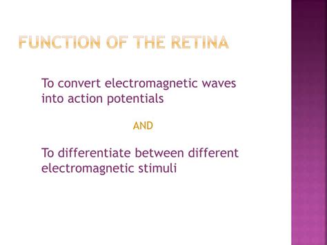Ppt Function Of The Retina Powerpoint Presentation Free Download