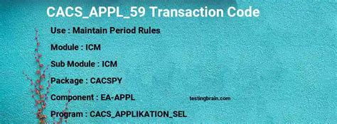 CACS APPL 59 SAP Tcode For Maintain Period Rules