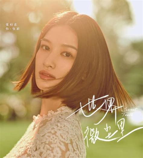 世界微尘里电视剧多少集