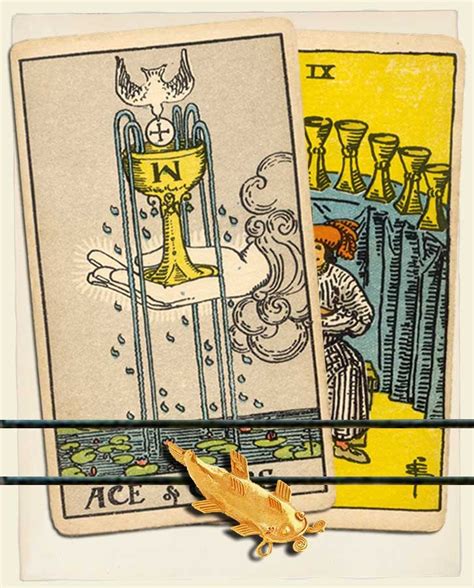 Ace Of Cups And Nine Of Cups Combination Reading With Insights For