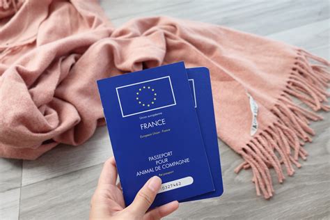 How To Get Pet Passport • Wheres The Frenchie