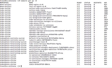 No Kubectl Terminal For Custom Platform Role Created · Issue 2764