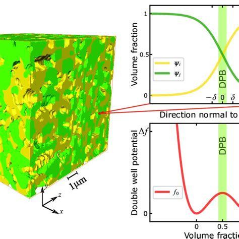 Diffuse Interface Double Phase Boundary Dpb In A Phase Field Model Download Scientific Diagram