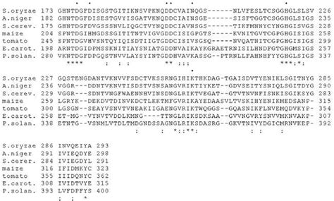 Multiple Alignment Of The Conserved Domain Of Polygalacturonases From