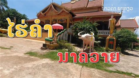 Laos ບ້ານໄຮ່ຄຳ ບ້ານນາຄວາຍ ເມືອງໄຊເສດຖາ บ้านไฮ่คำ นาควาย เมืองไชย