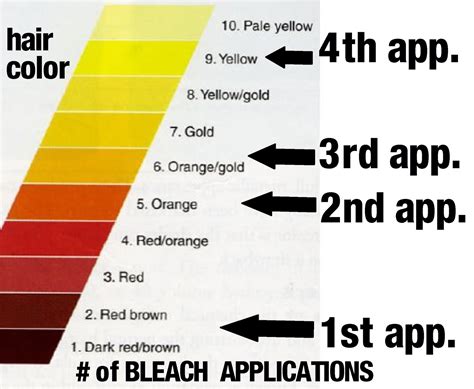 Color Chart For Bleaching Hair Educational Chart Resources