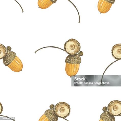 흰색 배경에 수채화 도토리 매끄러운 패턴 손 그리기 그림입니다 아쿠아렐 브라운 가을 너트 섬유 디지털 종이 포장에 적합합니다 10월에 대한 스톡 벡터 아트 및 기타 이미지