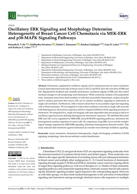 Pdf Oscillatory Erk Signaling And Morphology Determine Heterogeneity