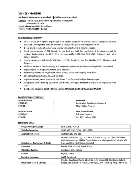 vishesh resume mule pdf application programming interface oracle
