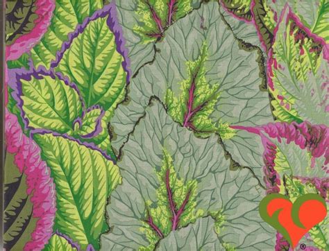 Stunning Kaffe Fassett Begonia Columns Green Fabric