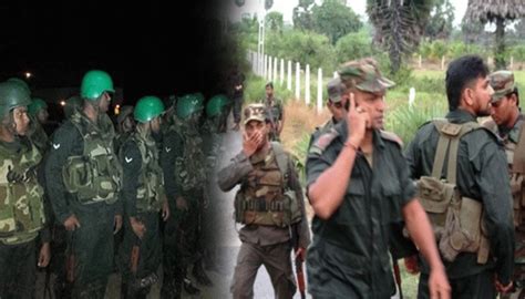 Neth News Sri Lanka Latest Sinhala News And Headlines Sri Lanka