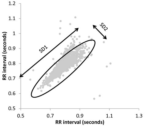 Poincaré Plot For A Sequence Of Rr Intervals Allows The Estimation Of