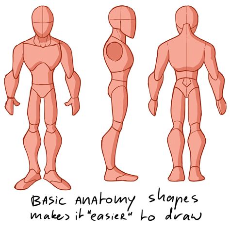 Learning Drawing Principles Character Model Sheet Character Design Learning Drawing Principles Character Model Sheet Character Design