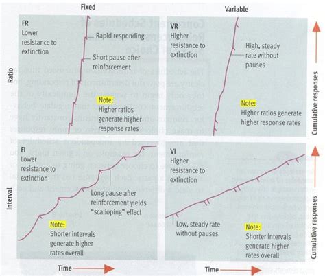 Graph Of Behavioral Response Patterns To Each Type Of Reinforcement Schedule Operant