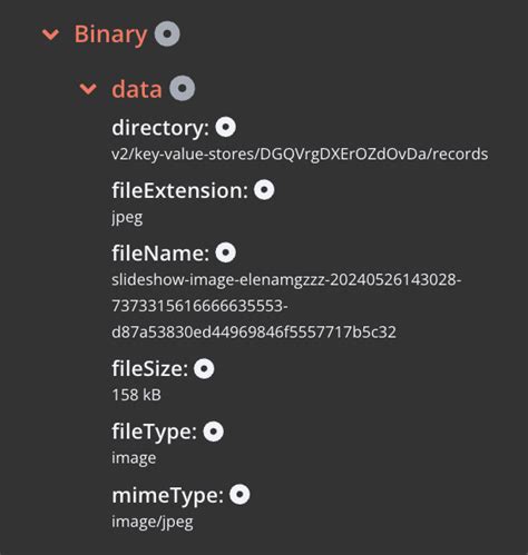 Access Directory And File Name Properties Of Binary File Get