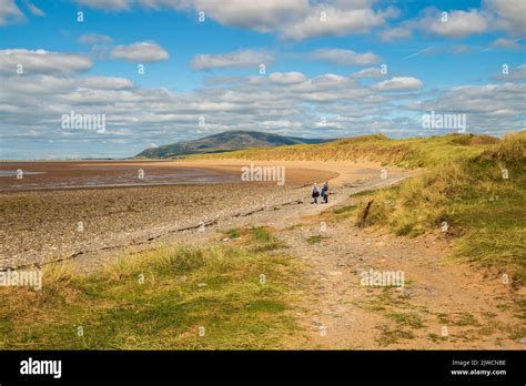 Sandy Beach At Sandscale Haws Nature Reserve Managed By The National