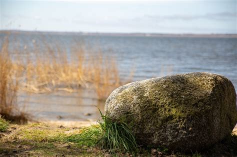 Lagoon Lake Water - Free photo on Pixabay - Pixabay