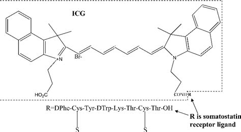 Figure 1 From Time Resolved Fluorescence Polarization Dynamics And Optical Imaging Of Cytate A