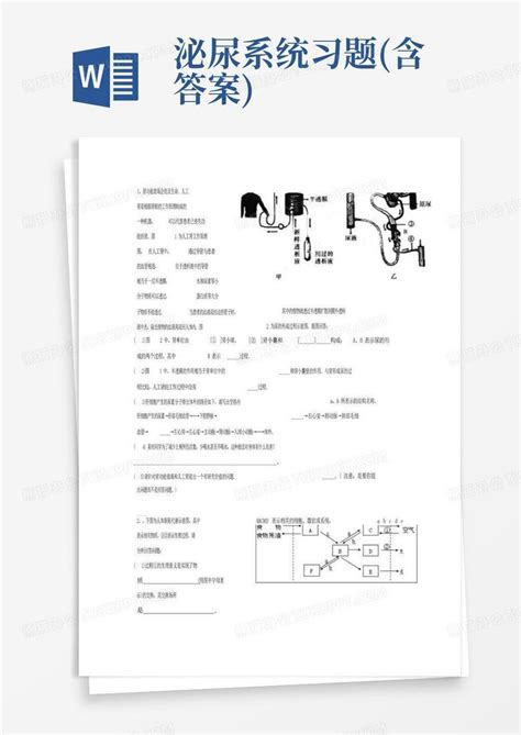 泌尿系统习题 含答案 Word模板下载 编号lnrownnp 熊猫办公