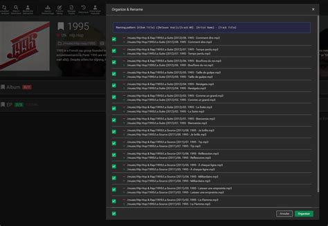 Cant Rename File · Issue 3558 · Lidarrlidarr · Github