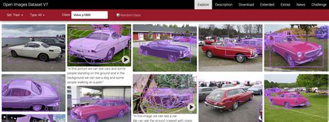 What Is The Open Images Dataset A Deep Dive