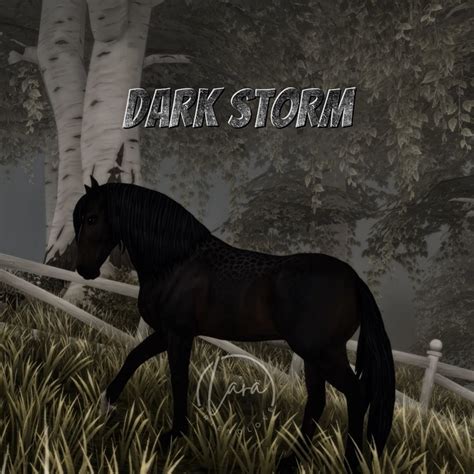 Dark Storm 퐿풶퓇풶 퐹퓇풾푒퓃풹퓁표퓋푒s Ko Fi Shop