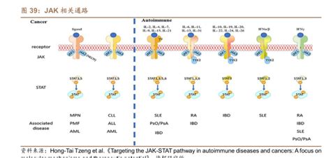三阴性乳腺癌csco推荐疗法 2024年02月 行业研究数据 小牛行研