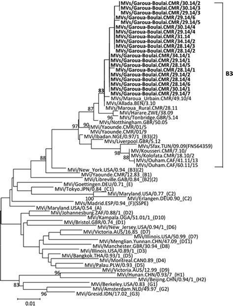 Phylogenetic Analysis Of Cameroonian Measles Strains In Bold Based On