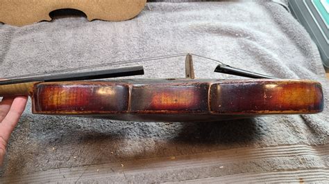 Weird Rounded Violin The Pegbox Maestronet Forums
