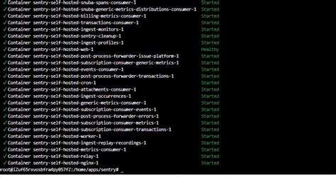 Sentry私有化部署